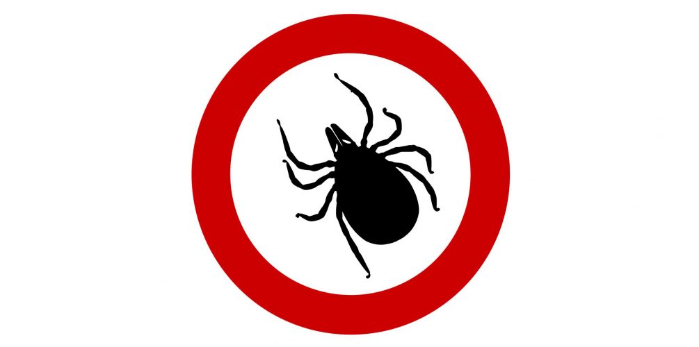 Boala Lyme: 7 informații pe care trebuie să le știi - Transilvania Healing